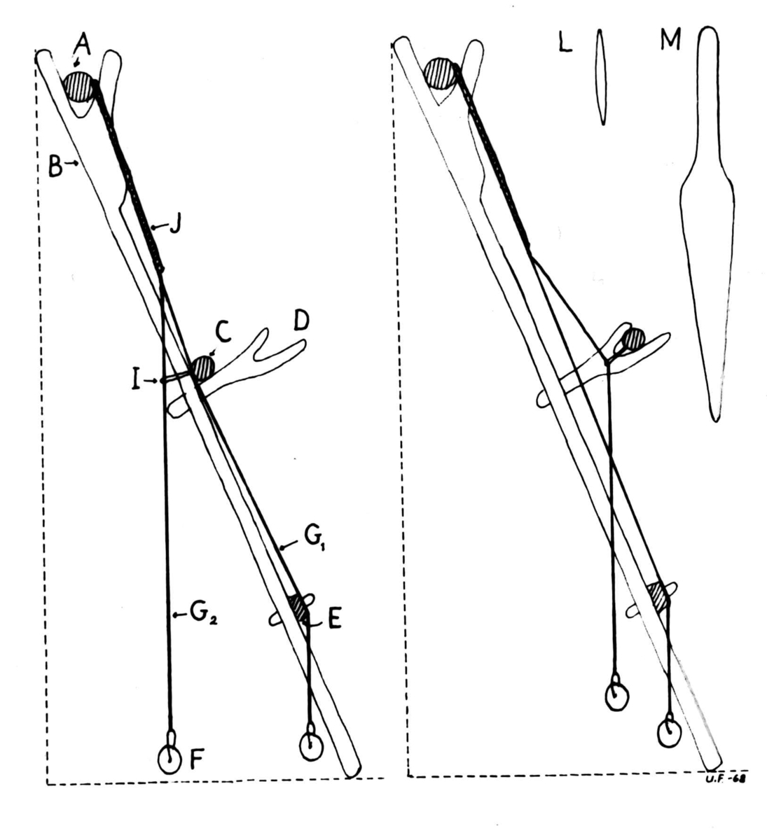 Oppstadgogn. Tegning av vev, vestnorsk type. Illustrasjon. - Norsk ...