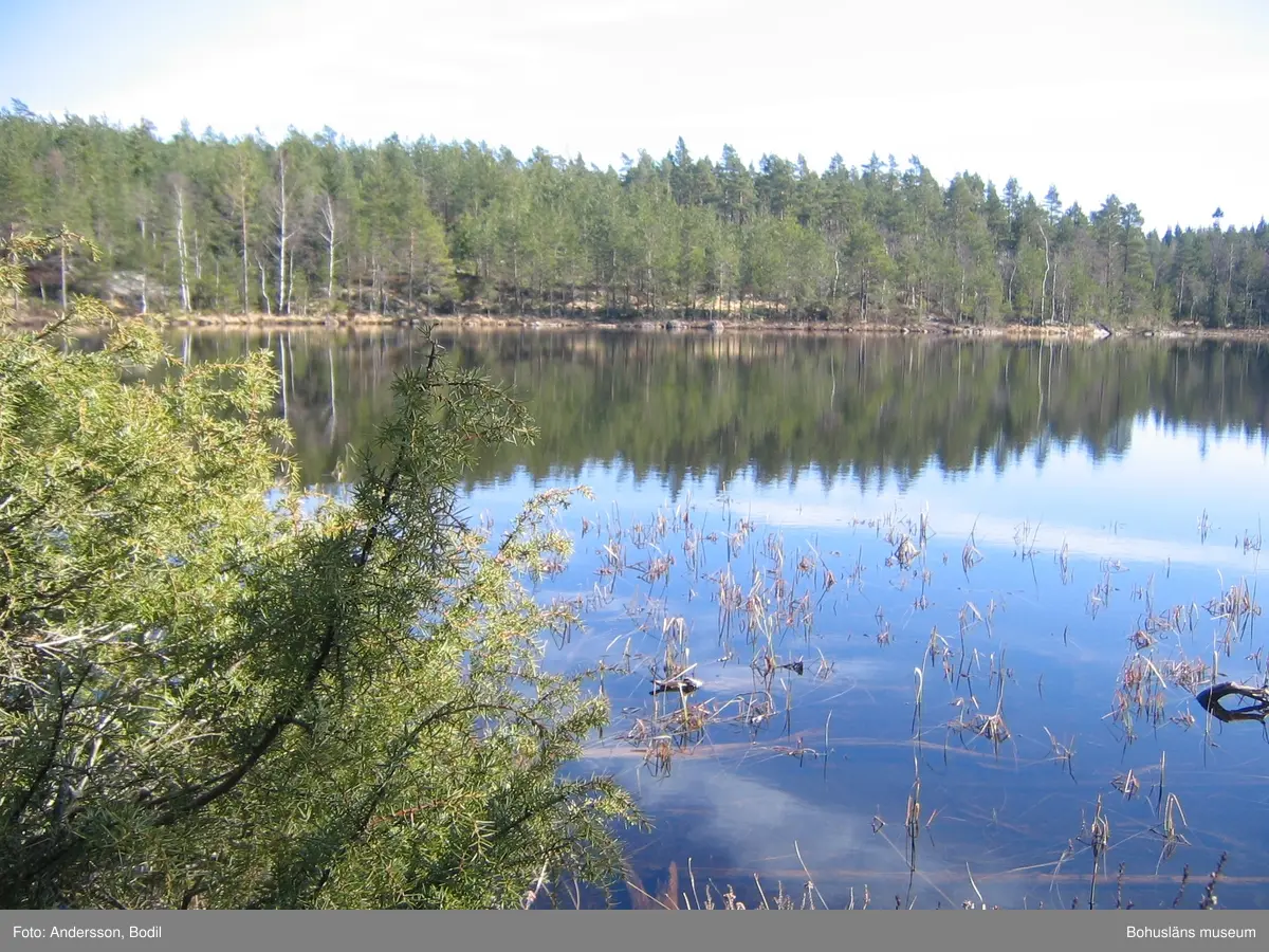 På nordsidan av vattnet växer klen tallskog ändra fram till ...