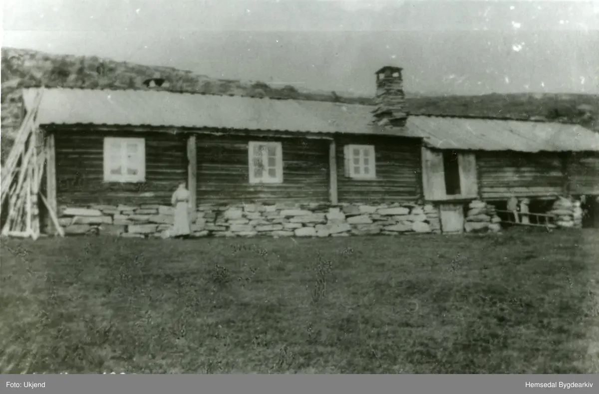 Sørejallen, 63/6, i Hemsedal i 1880. - Hemsedal Bygdearkiv / DigitaltMuseum