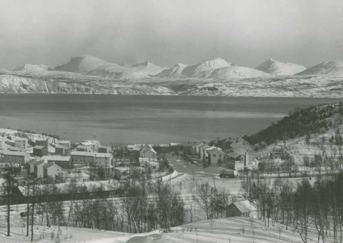 Finnbekken. Furuveien i krysset med Frydenlundsgata. Vinter ...
