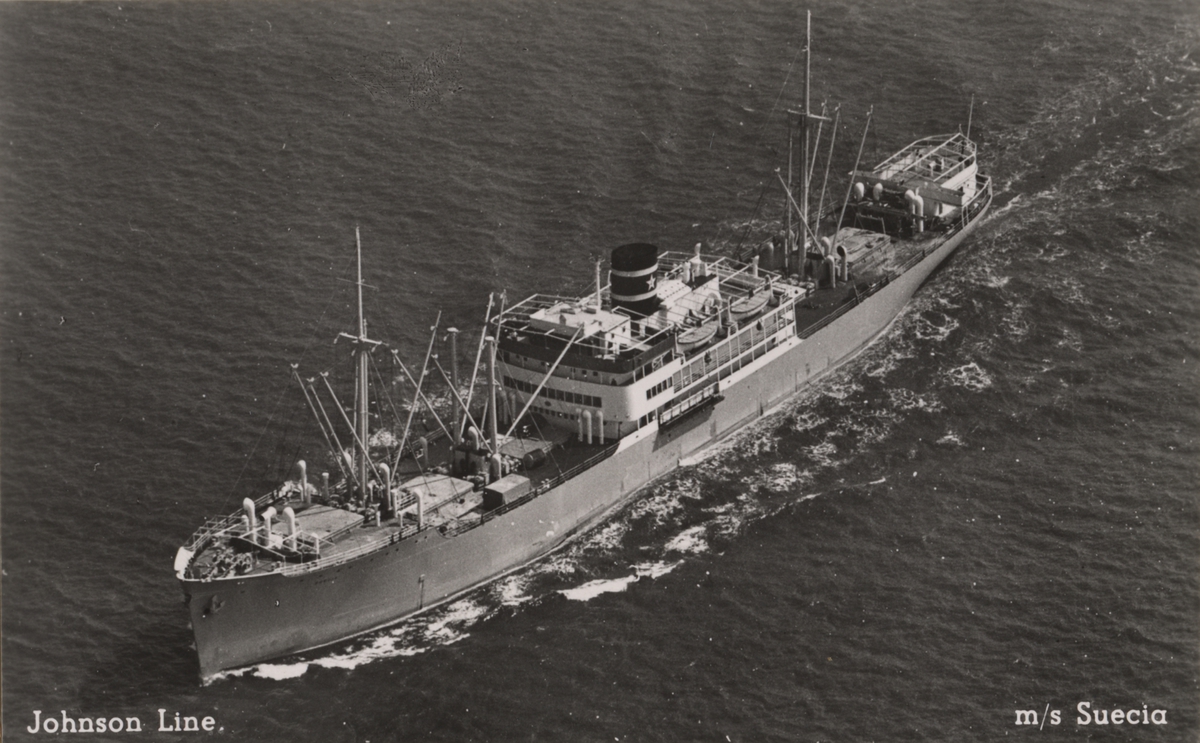 Johnson Line m/s Suecia -Sjöhistoriska museet / DigitaltMuseum