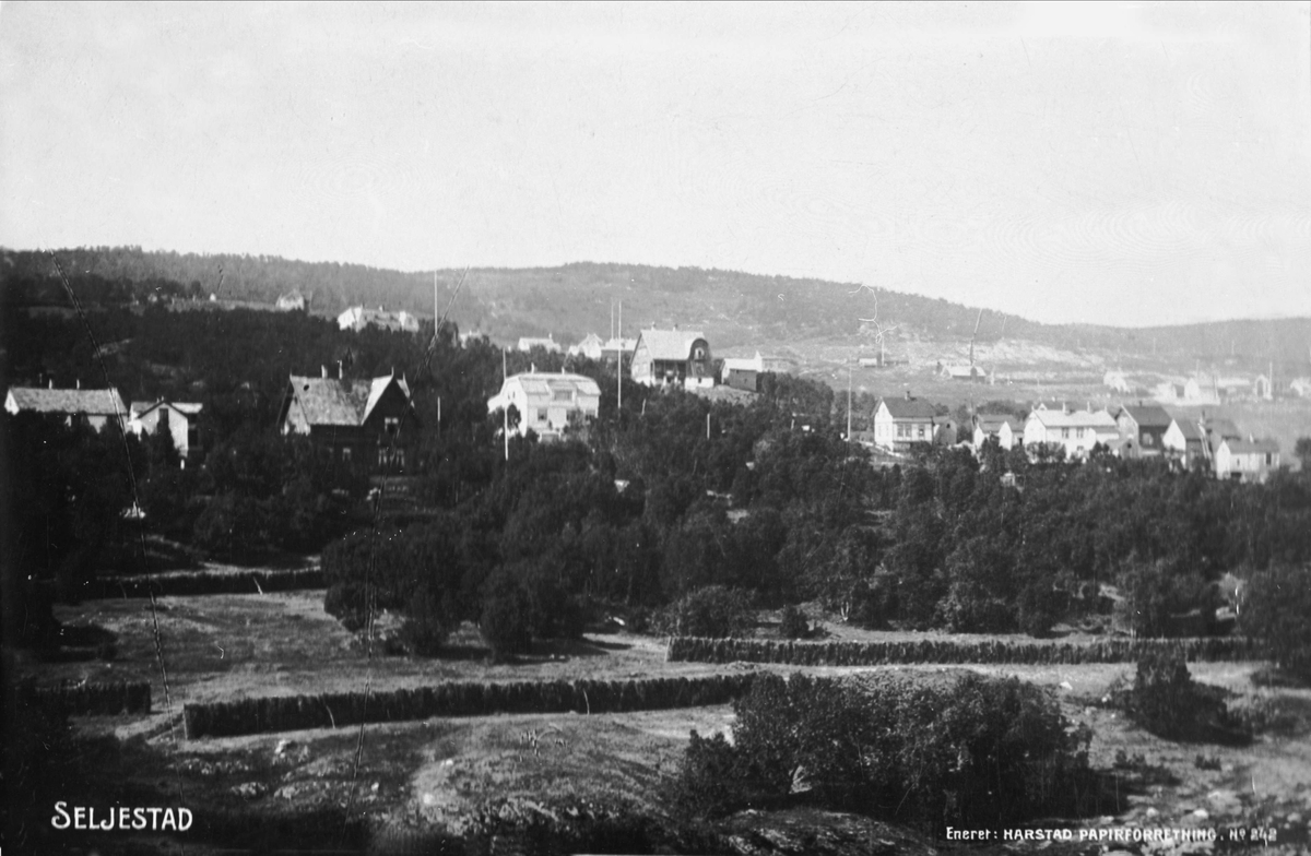 Hesjer og bebyggelse på Seljestad. - Sør-Troms Museum / DigitaltMuseum