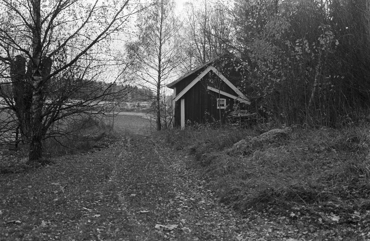 Gamla vägen över tomten, Testa 1:13, Skogs-Tibble socken, Uppland 1985 ...