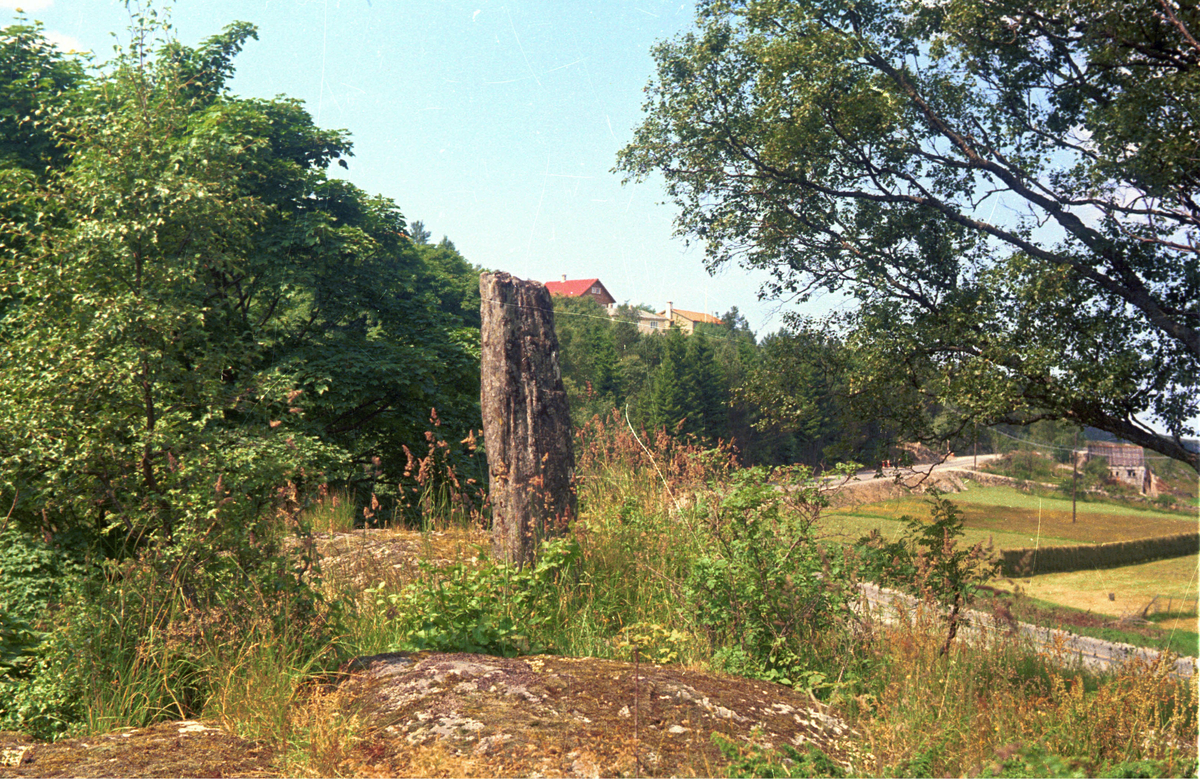 Brattholmen, Fjell, Hordaland. Bautasten. - Universitetsmuseet i Bergen ...