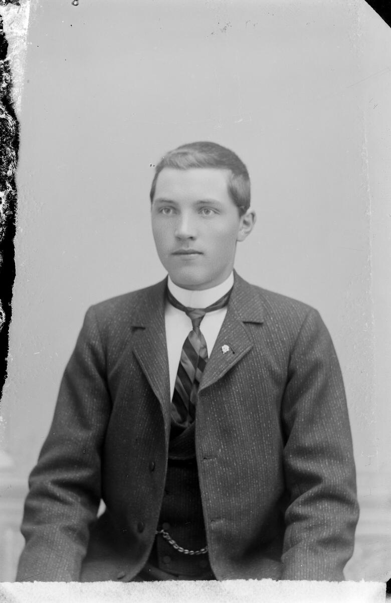 Robert Norberg; Ingår i porträttsamlingen från Knut Wallins ateljé ...