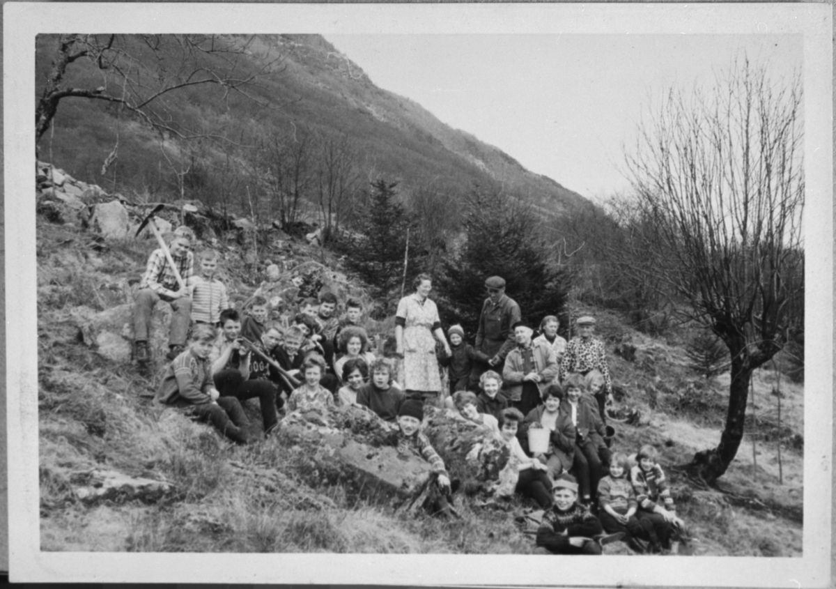 Elevar ved Vågen skule i gang med planting av trer på Lunde i Ølensvåg ...