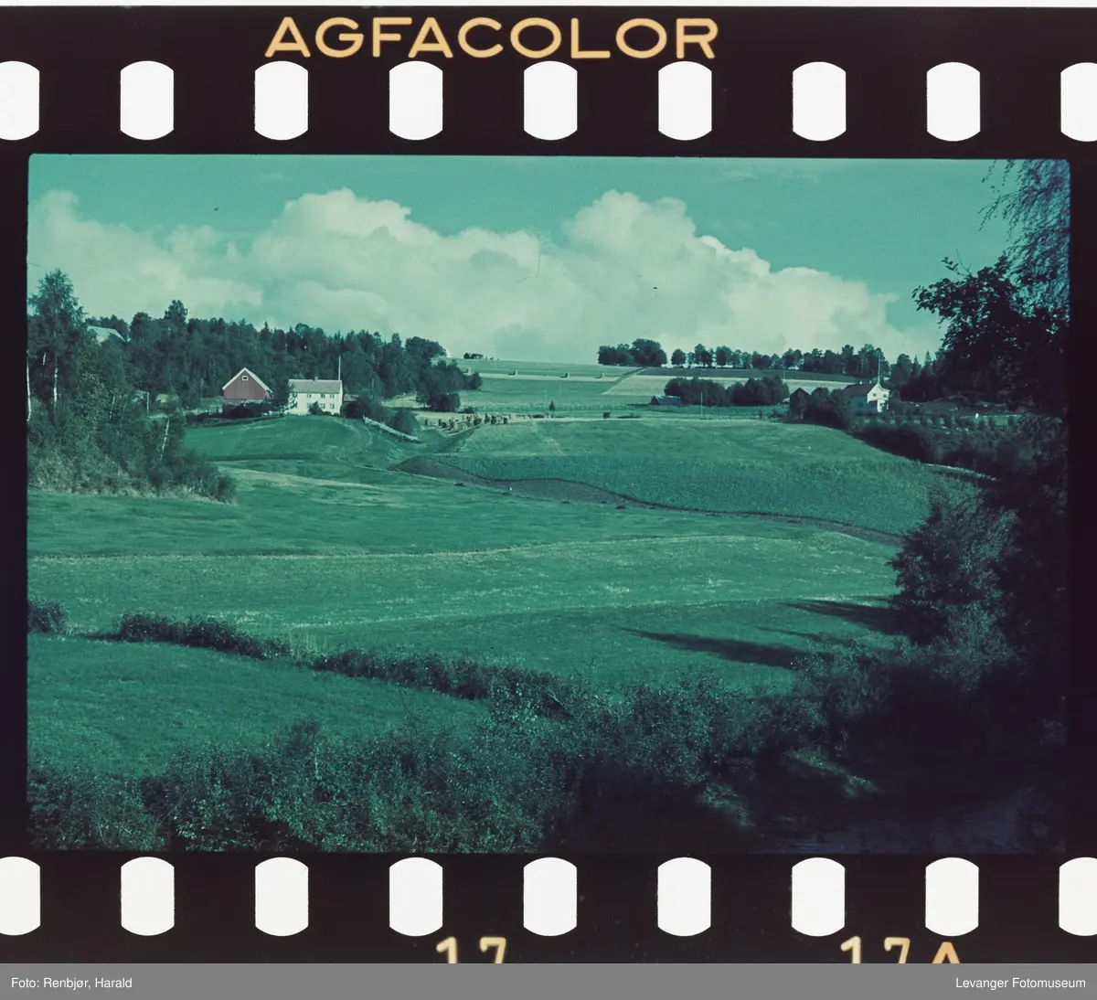 Kulturlandskap i Levanger. - Levanger Fotomuseum / DigitaltMuseum