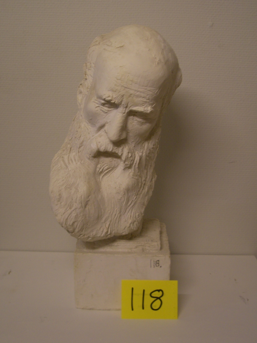 Christian Krogh [Byste] - Vest-Telemark Museum / DigitaltMuseum