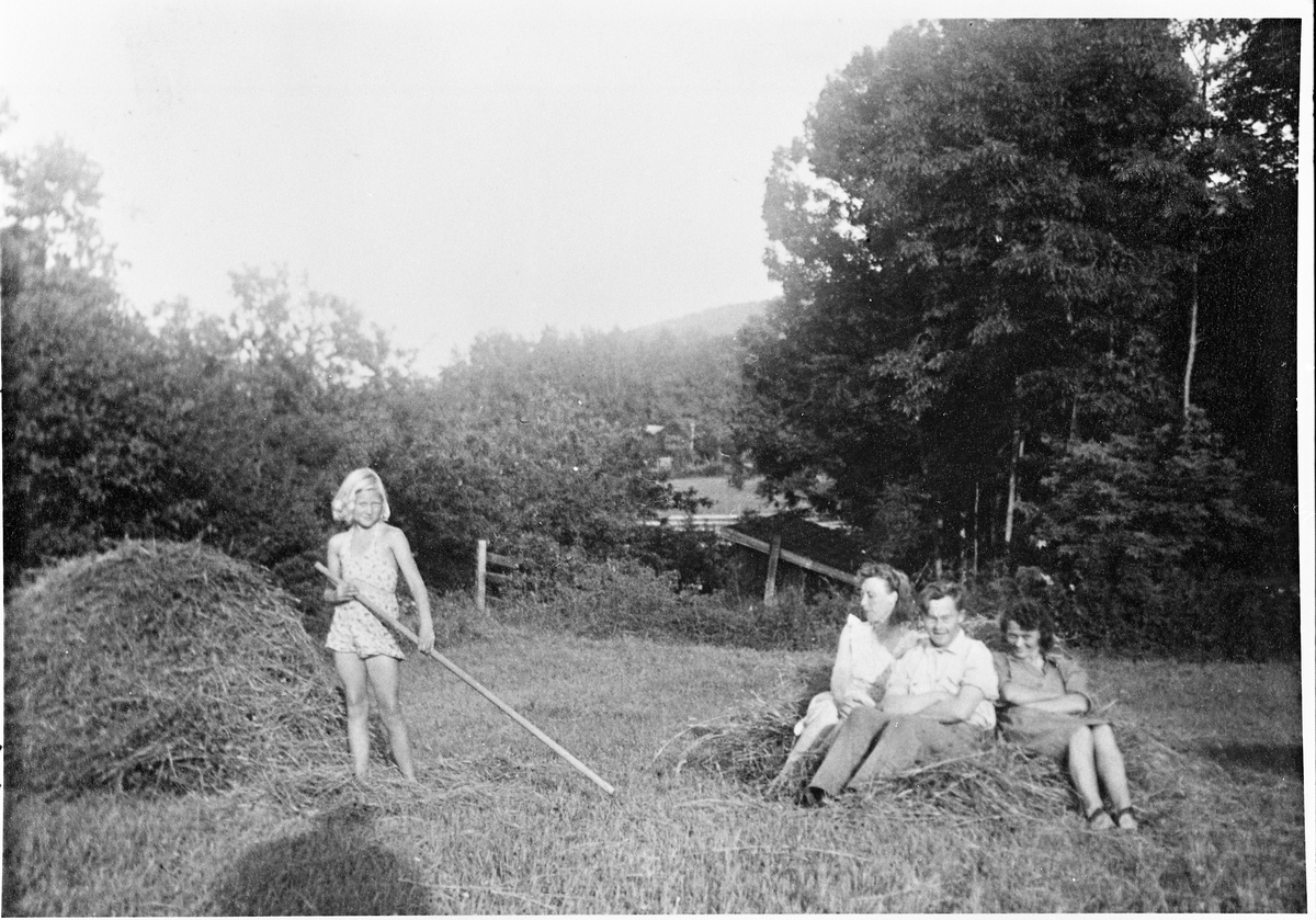 Slåttonn på Målerbakken i Totenvika ca. 1943. Personene: Unni Andersen ...