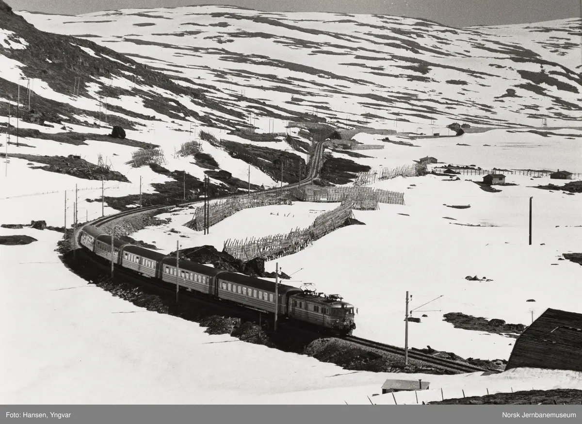 Elektrisk lokomotiv El 11 med persontog fra Oslo til Bergen, tog 609 ...