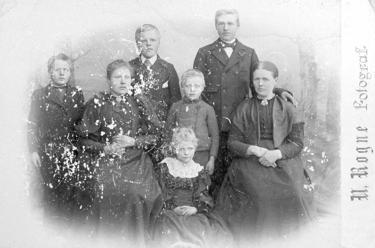 Familien Hodne - Valdres Folkemuseum / DigitaltMuseum