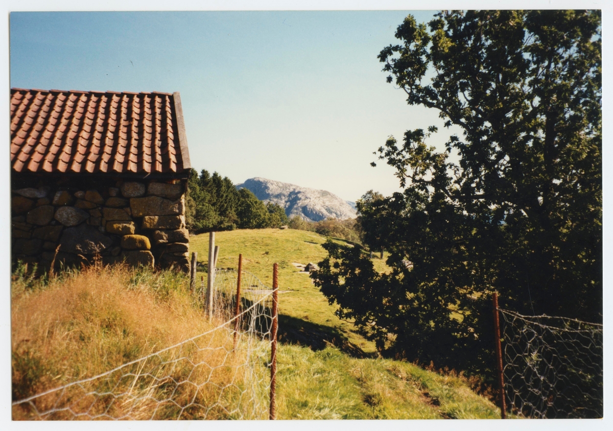 Øen i Helleland - Dalane Folkemuseum / DigitaltMuseum