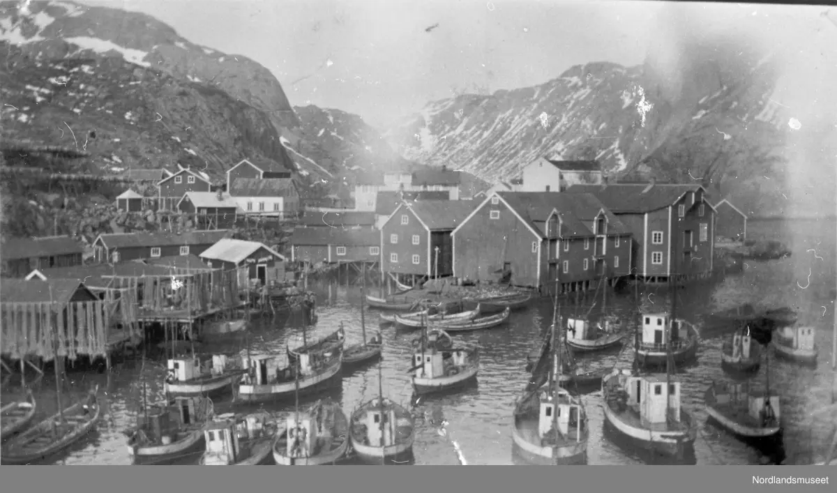 Nusfjord i Lofoten. - Nordlandsmuseet / DigitaltMuseum