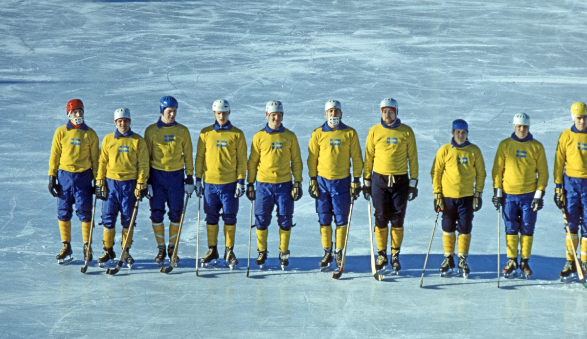 Bandy - Östergötlands museum / DigitaltMuseum