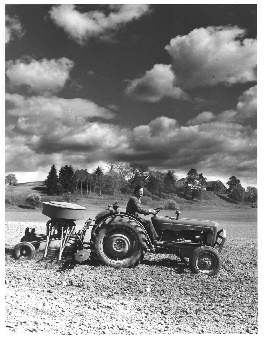 300 mål tilsås med bygg. mo. Ringerike. - DEXTRA Photo / DigitaltMuseum