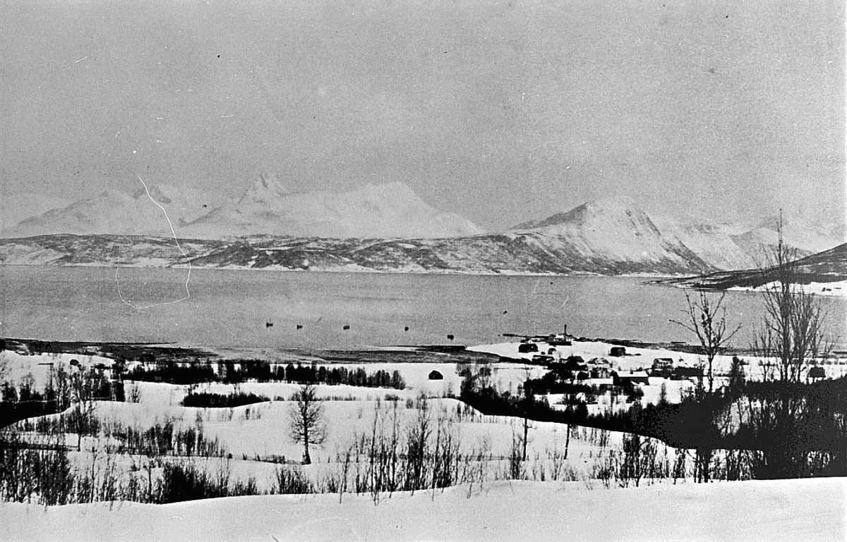 Oversiktsbilde, Storsteinnes. - Midt-Troms Museum / DigitaltMuseum