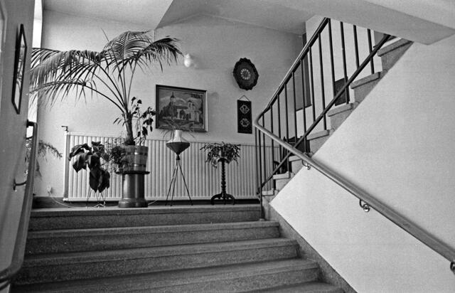 Venus 9, byggnad I trapphus - Västernorrlands museum / DigitaltMuseum