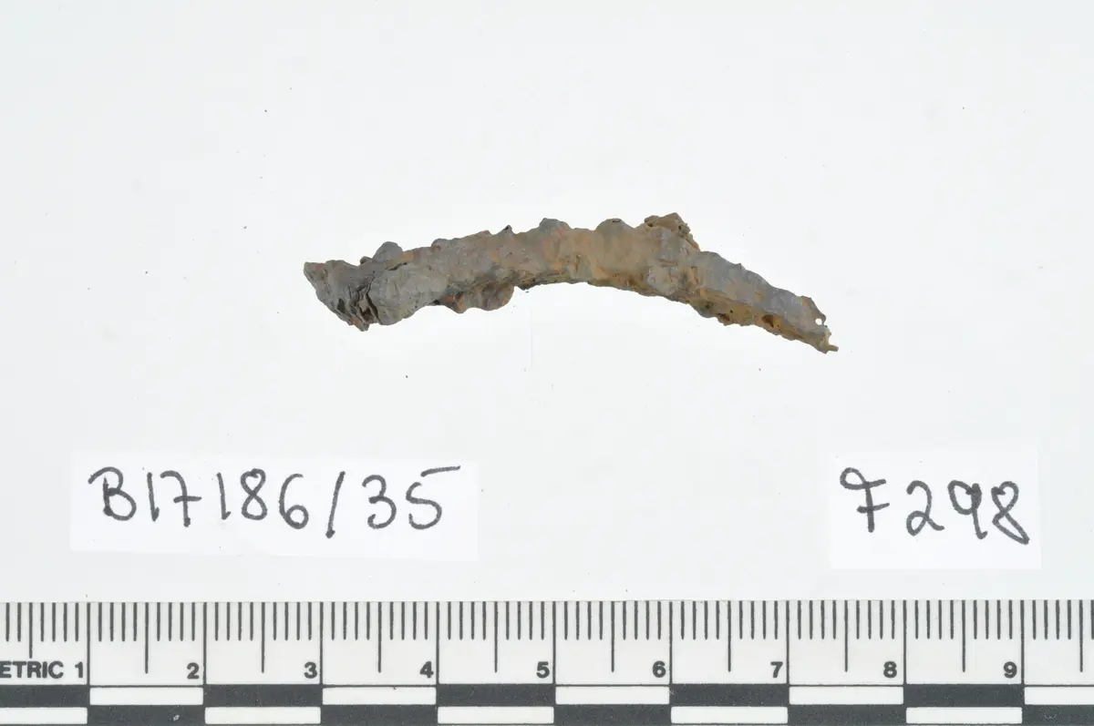 B 17186.35 F298 Nagle eller spiker med rundt hode og firkantet stilk ...