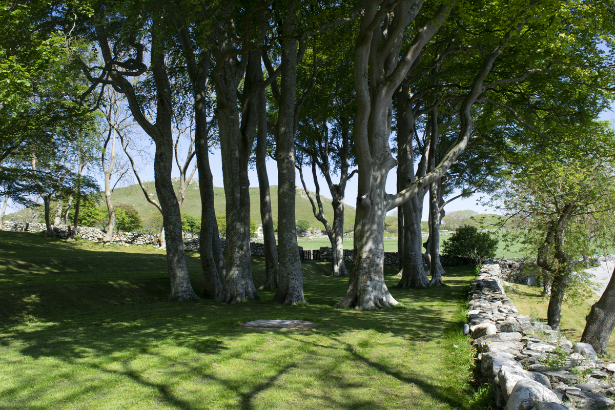 Trær rundt Utstein Kloster. - Arkeologisk museum, Universitetet i ...