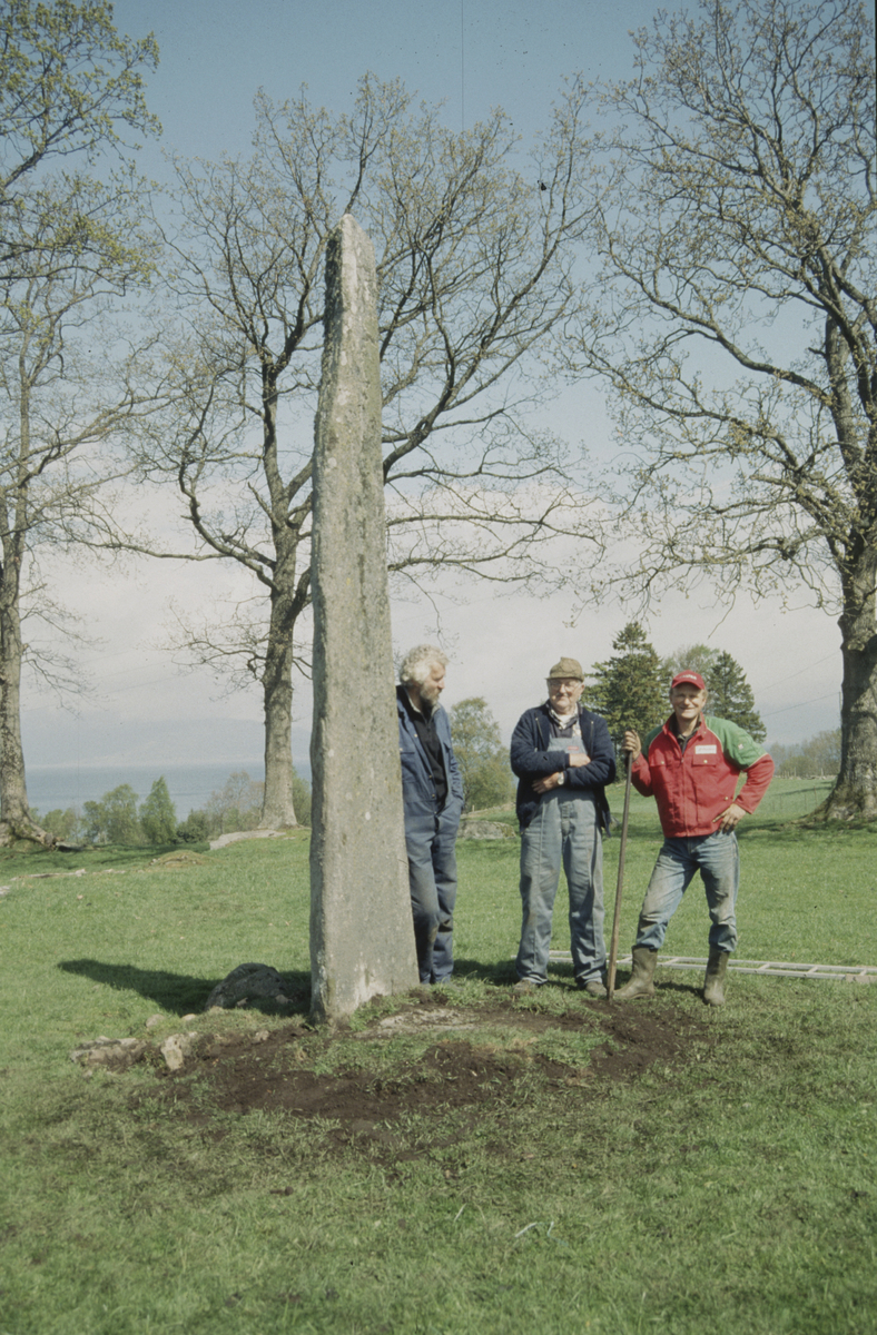 Oppretting av bautastein - Arkeologisk museum, Universitetet i ...