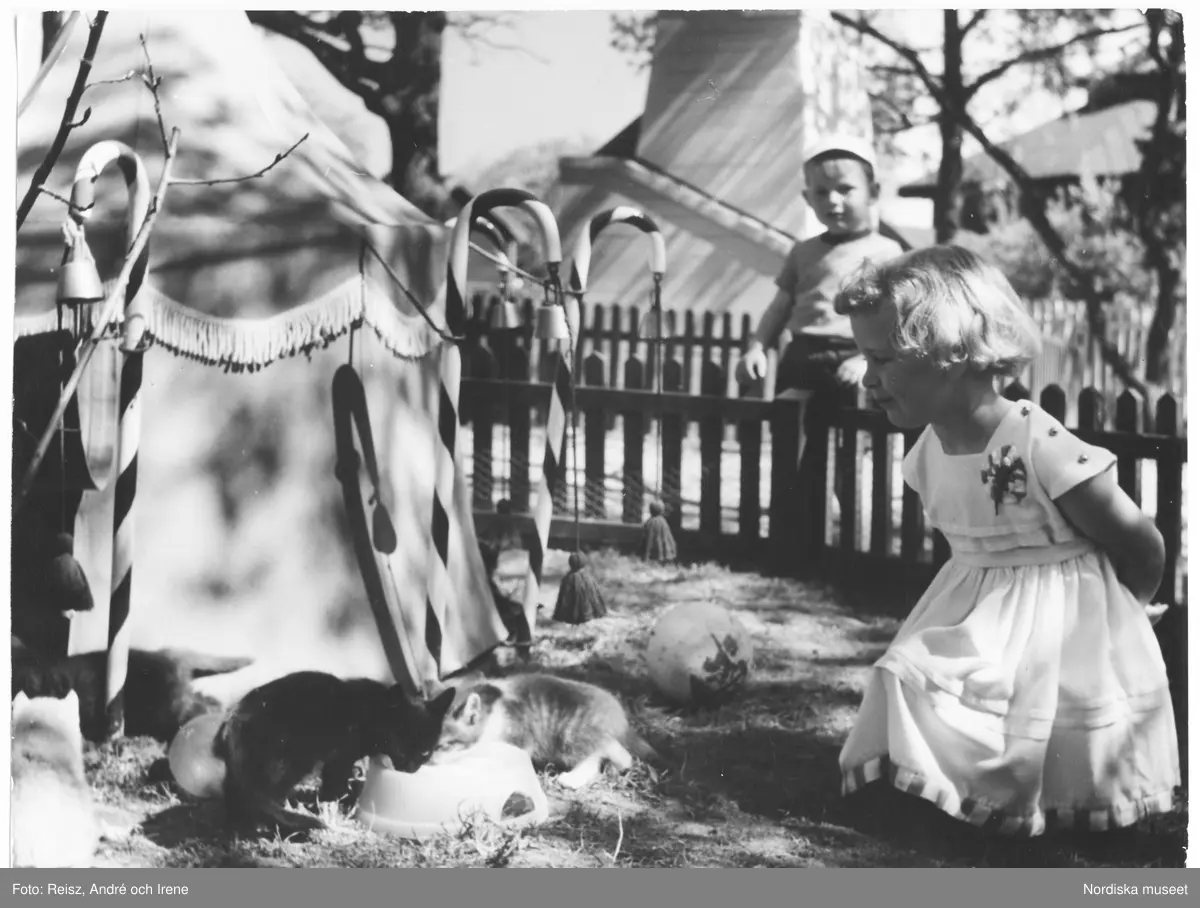 Stockholm. Barn hos katterna på Skansen. Lill-Skansen. - Nordiska ...