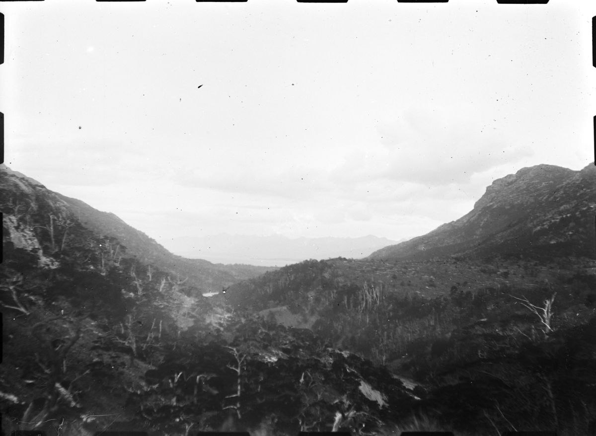 Eldslandetexpedition. Berg och djungel. - Tekniska museet / DigitaltMuseum