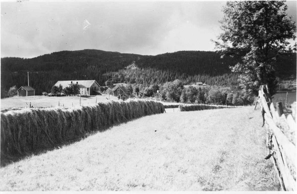 Hesjer ved Gjølgasæter, Bjugn - Museet kystens arv / DigitaltMuseum