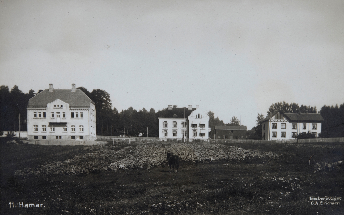 Postkort, Hamar, fra venstre Hamar barnehjem De to bygningen til høyre ...