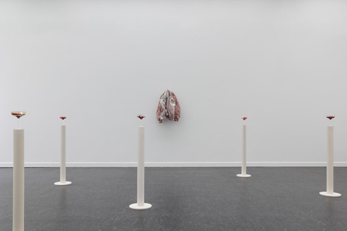 Ane Graff - Trondheim kunstmuseum