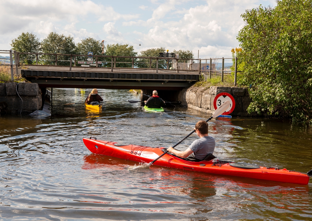 Flom i Mjøsa sommeren 2023. Mjøsflom. Flom 2023. Hamar sentrum ...