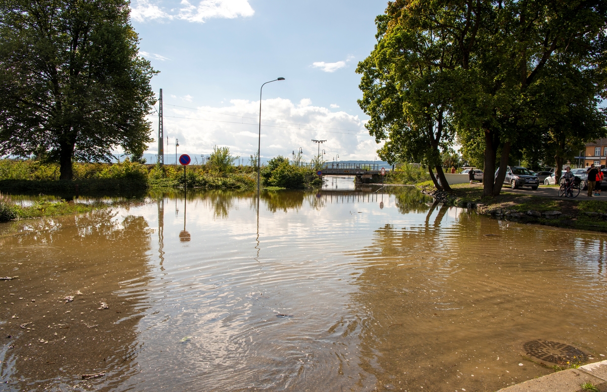 Flom i Mjøsa sommeren 2023. Mjøsflom. Flom 2023. Hamar sentrum ...