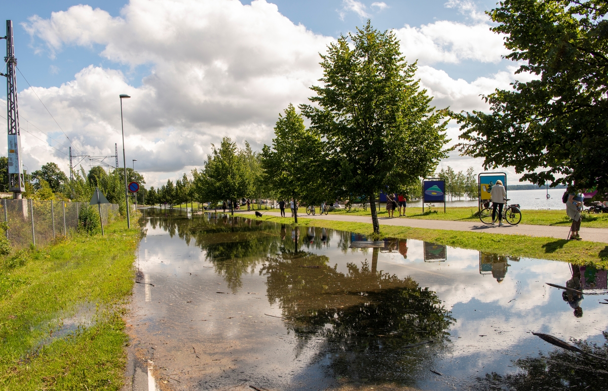 Flom i Mjøsa sommeren 2023. Mjøsflom. Flom 2023. Hamar sentrum ...