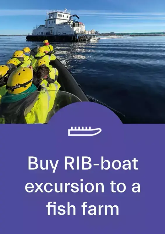 RIB boat excursion - Storeblå