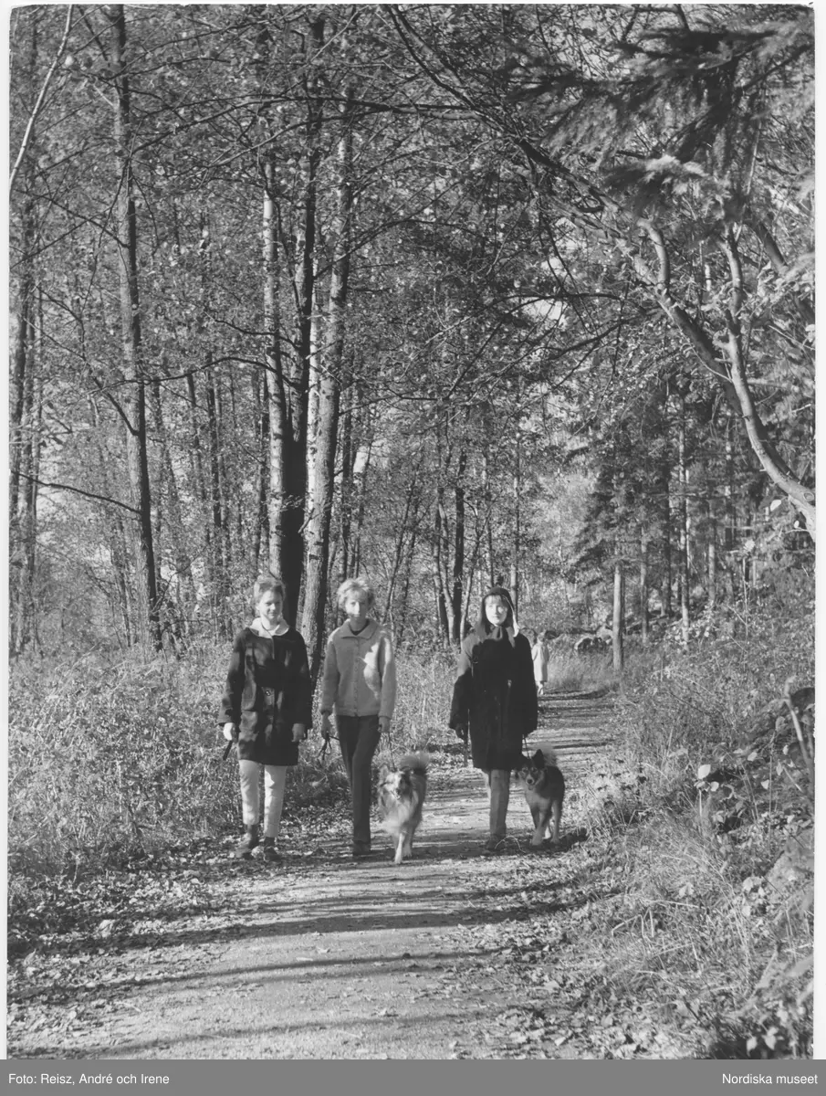 Promenad med hunden i skogen. - Nordiska museet / DigitaltMuseum
