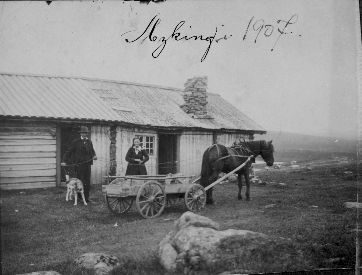Jeger på tur heim med het og vogn - Hallingdal museum fotosamling ...
