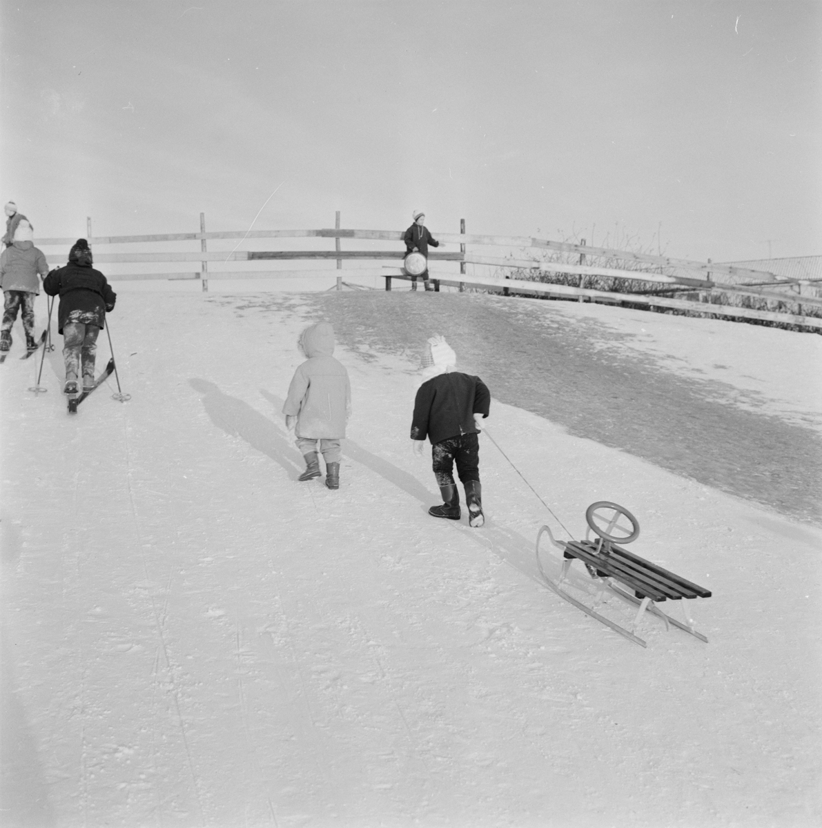 Vinterbilder - barn åker skidor och kälke, Uppsala, december 1961 ...