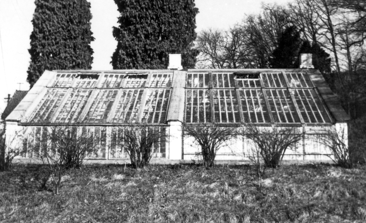 Drivhuset i parken, Ulefos Hovedgaard. Gammelt eksteriør. - Telemark ...