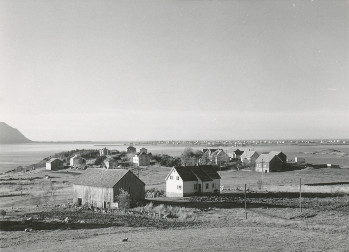 Prospektfotografi og oversiktsbilder av "Jakob-garen" på Skjong ...
