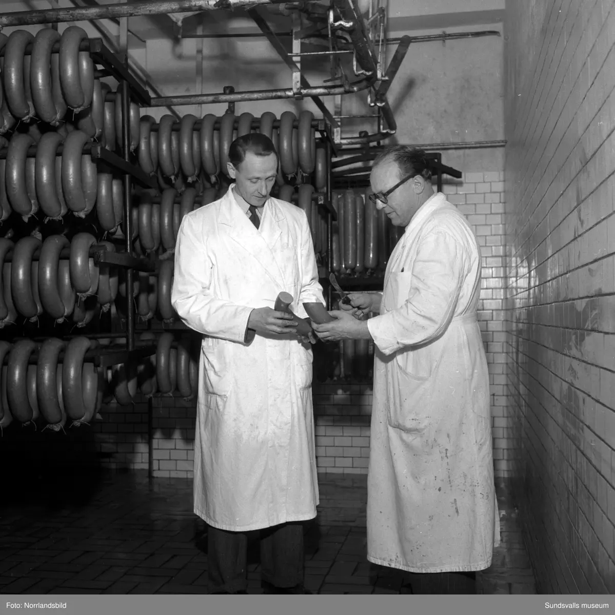 Bilder från verksamheten på Slakteriföreningens anläggning i Nacksta ...