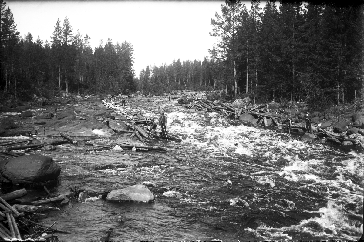 Flottning vid Testeboån. - Länsmuseet Gävleborg / DigitaltMuseum