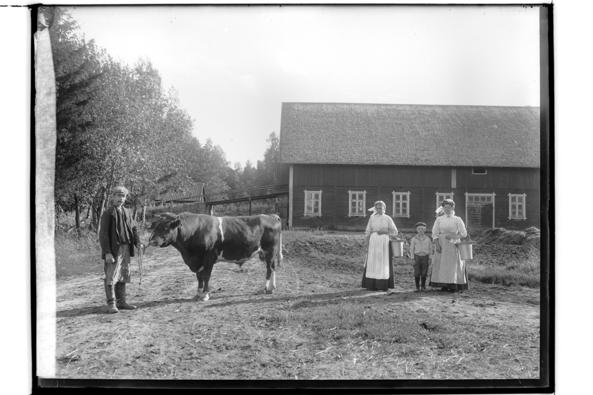 Ekonomibyggnad, en tjur, 4 personer. B. Gustafsson - Örebro läns museum ...