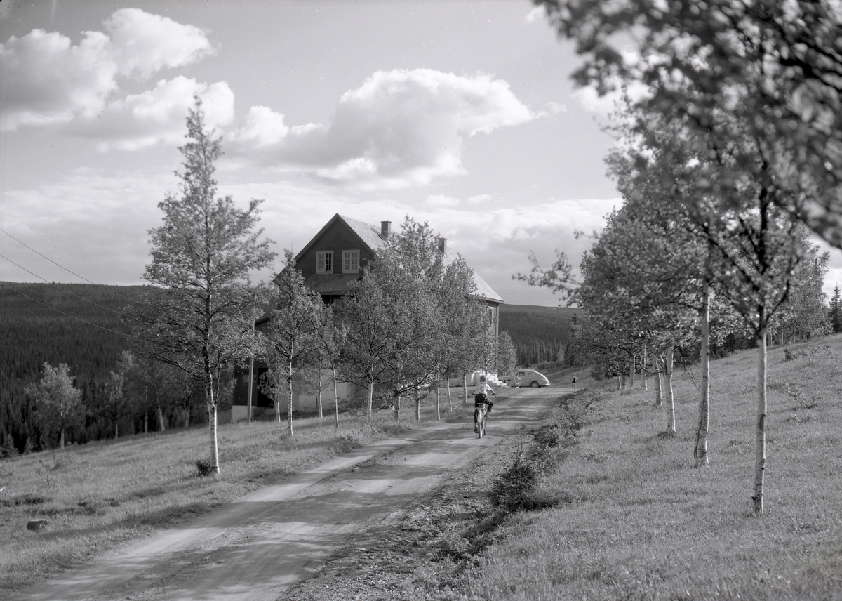 Vaset seter, Ulnes. - Valdres Folkemuseum / DigitaltMuseum