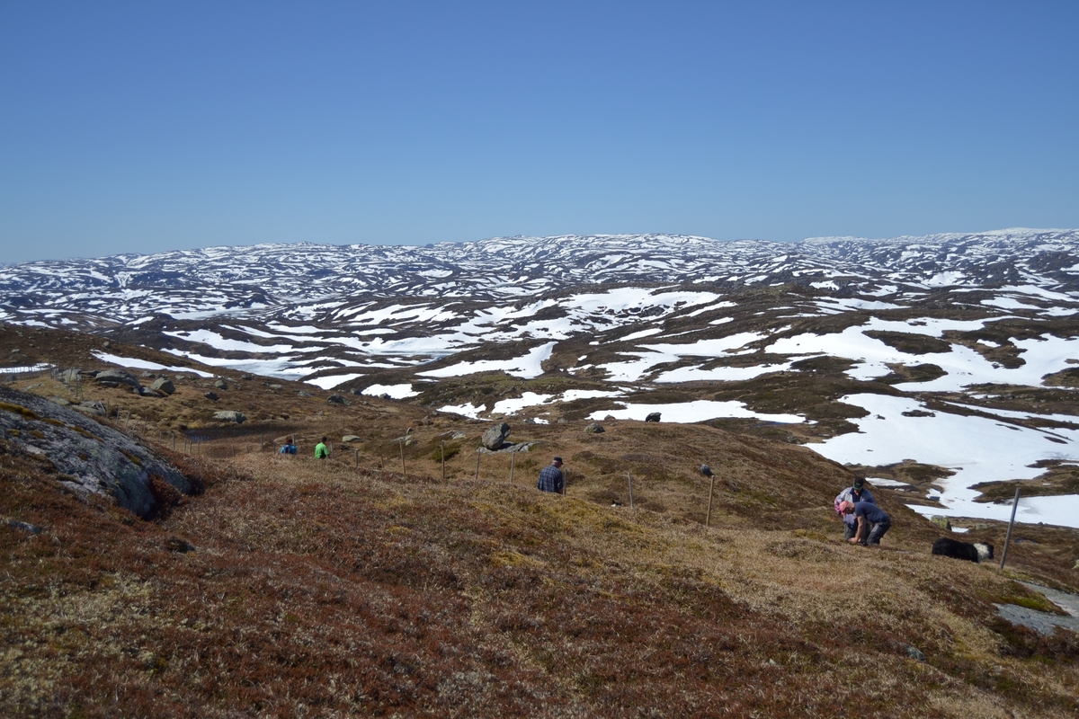 Mette Østerhus, Karl Martin Mattingsdal, Martin Siqveland, Arild Tuen ...