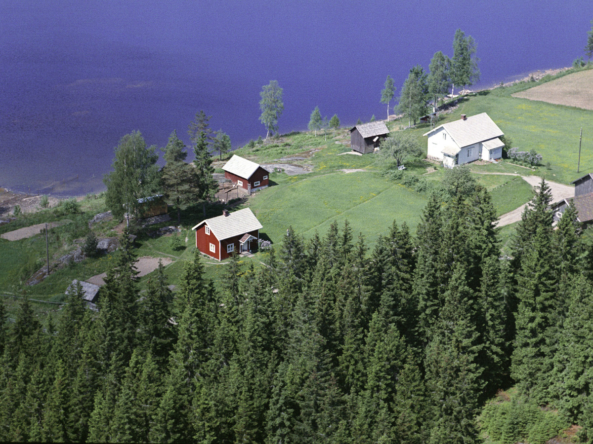 LYSAKER - Museene i Akershus / DigitaltMuseum