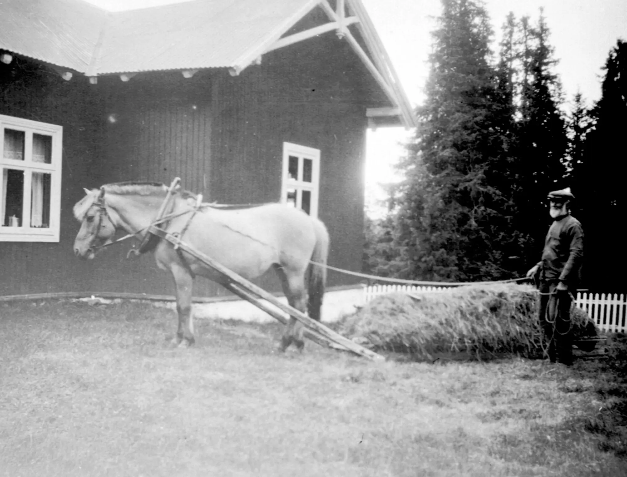 Mathias Bogstisveen kjører høy med hest og slede på Gammelskolla seter ...