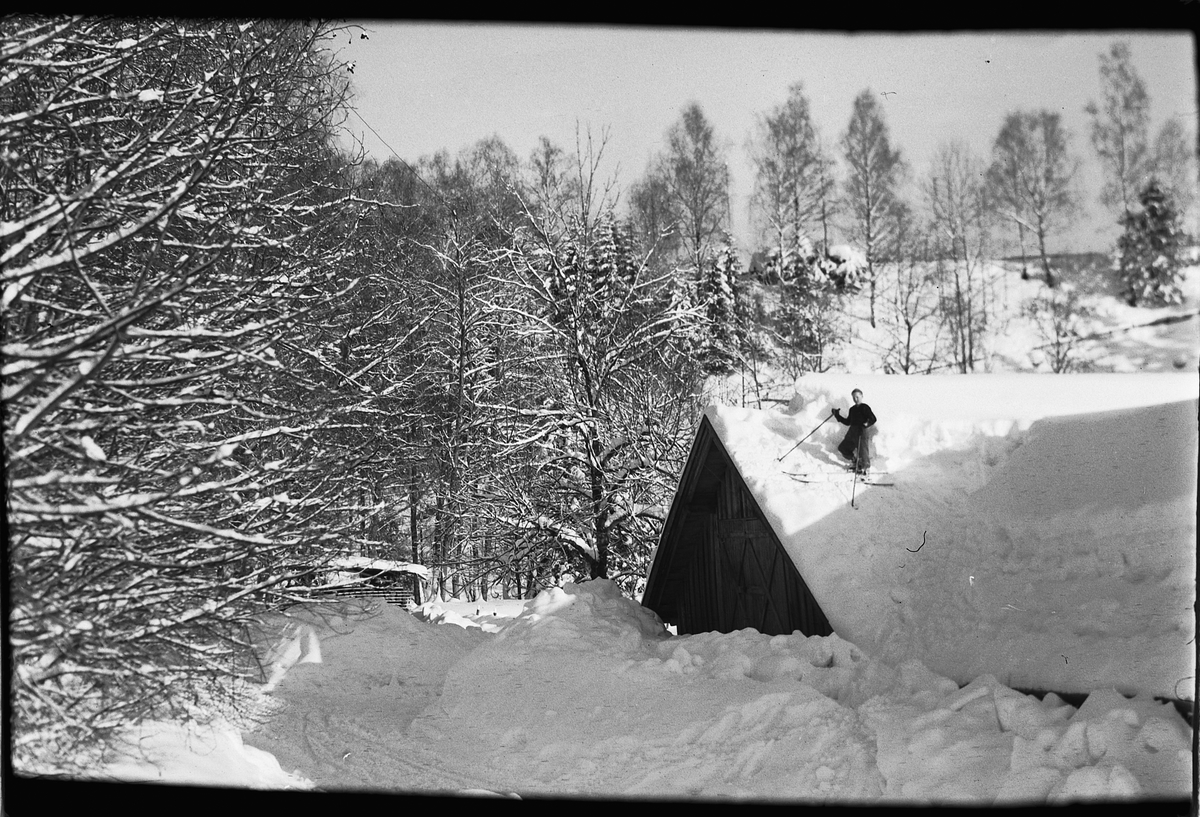 Vinterlandskap, en mann på ski på et hustak. - Anno Domkirkeodden ...