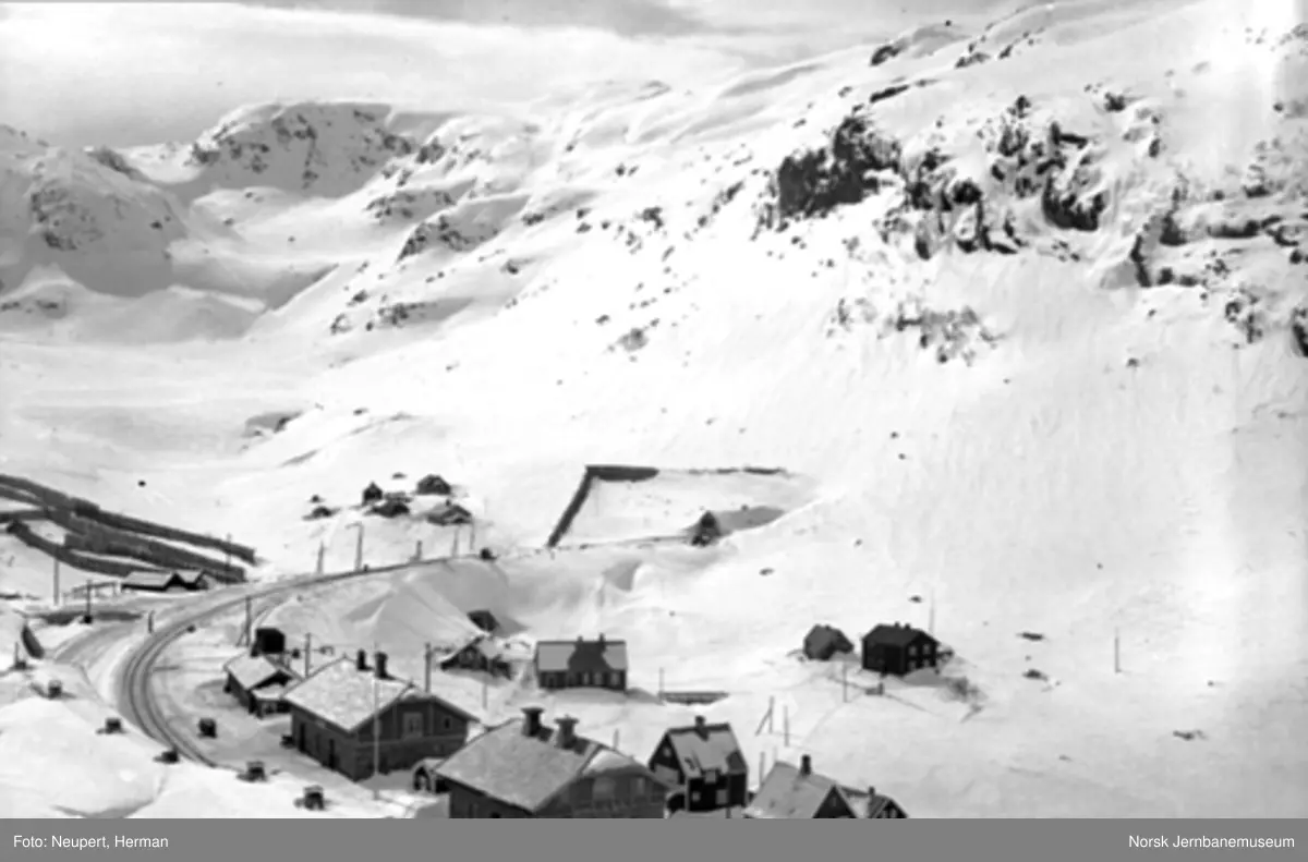 Oversiktsbilde over Myrdal stasjon - Norsk Jernbanemuseum / DigitaltMuseum