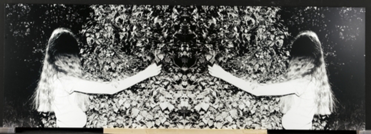 Lotta Antonsson - Hallands Konstmuseum / DigitaltMuseum