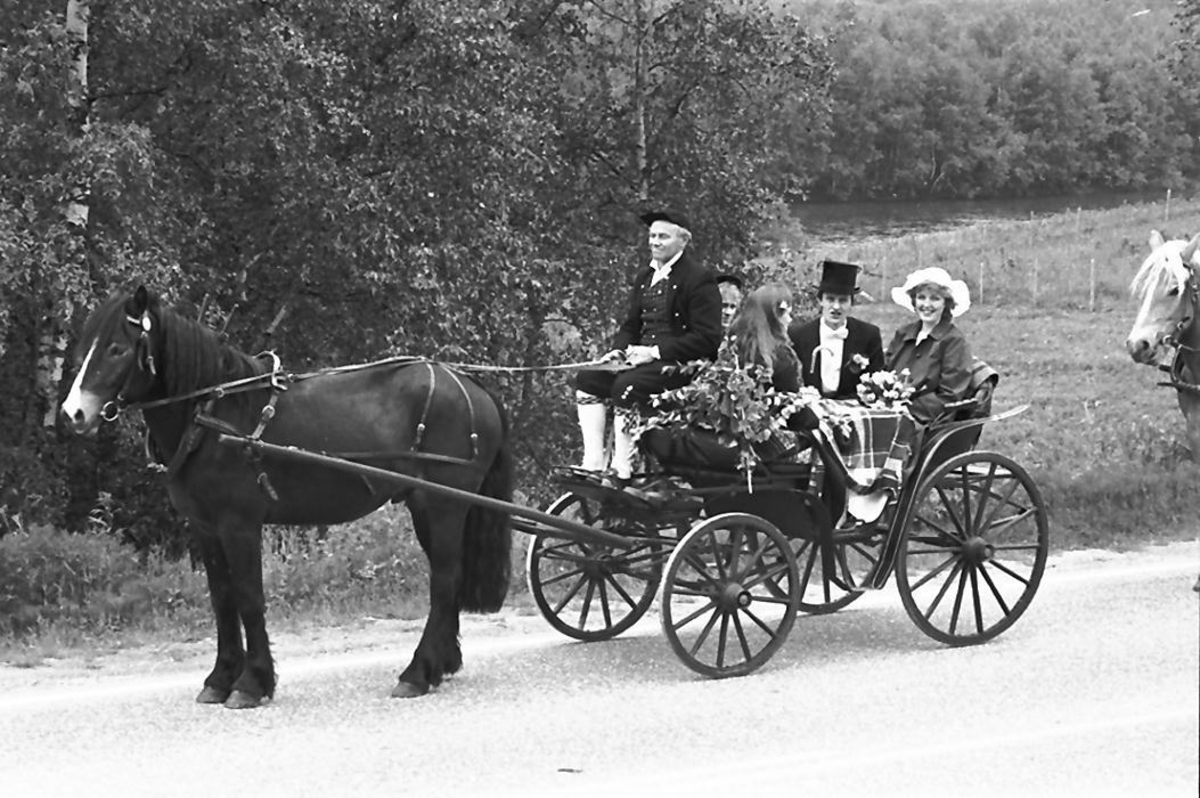 Brudepar transporteres med hest og vogn i Alvdal. - Anno Musea i Nord-Østerdalen / DigitaltMuseum