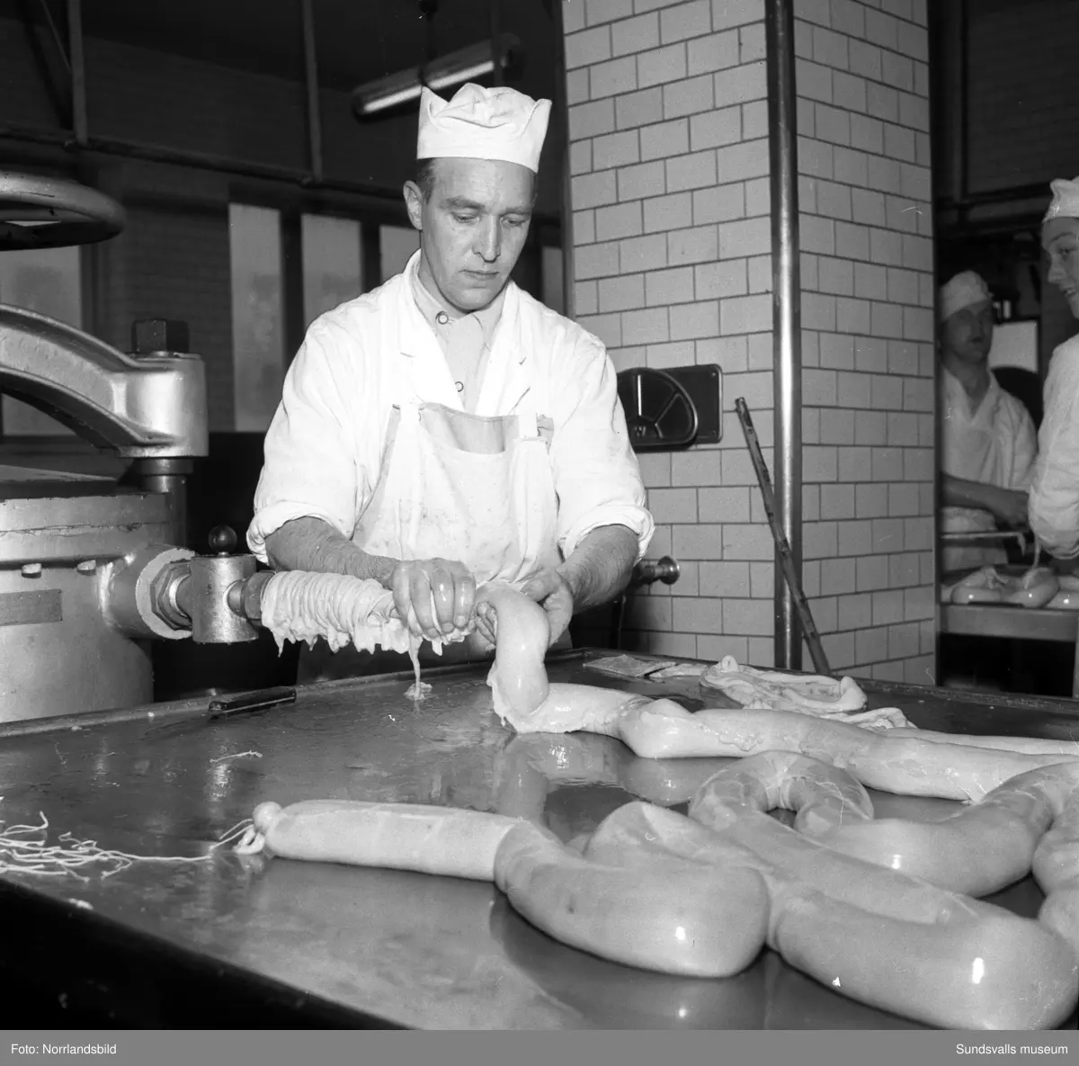 Bilder från verksamheten på Slakteriföreningens anläggning i Nacksta ...